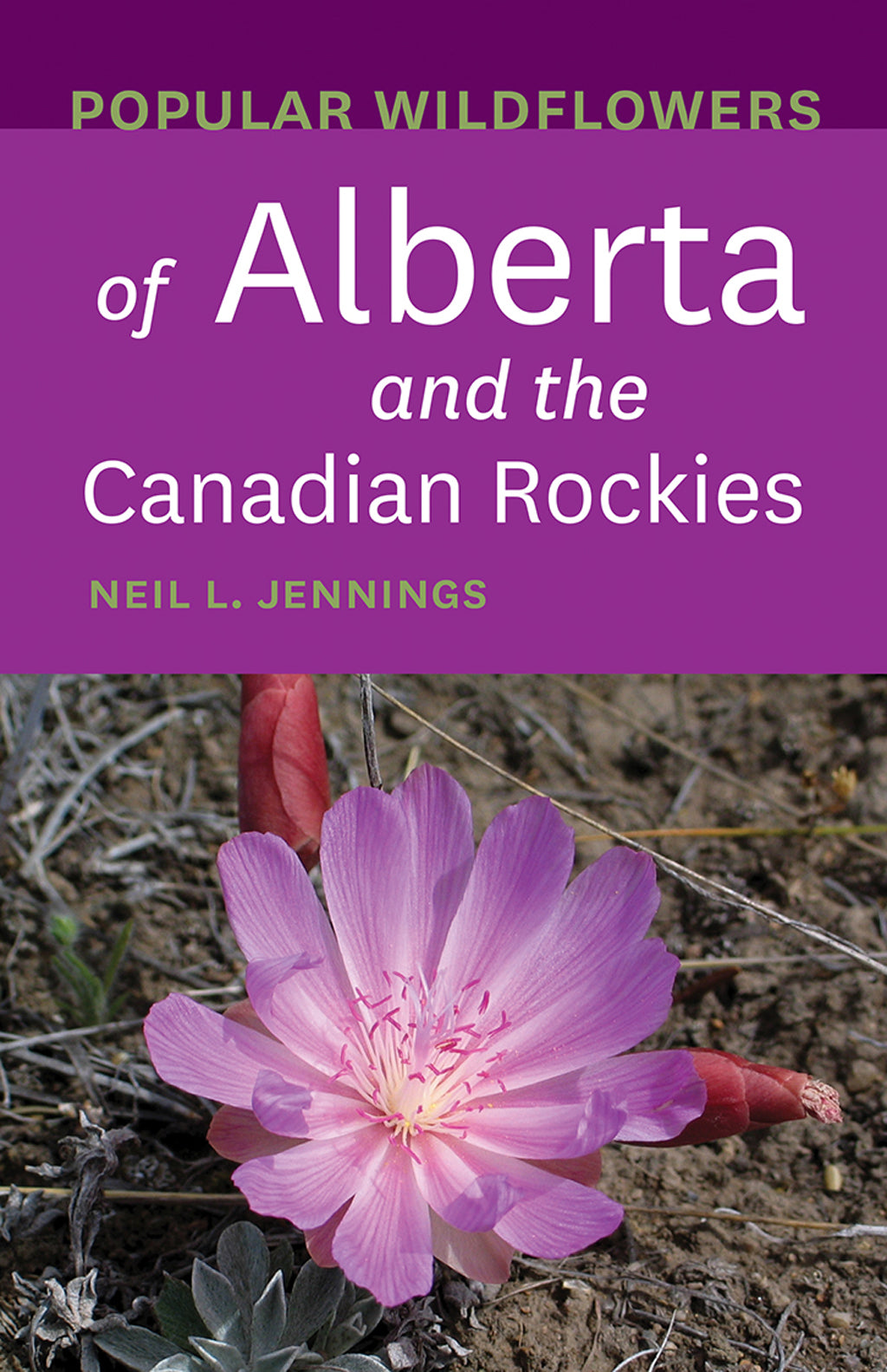 Popular Wildflowers of Alberta and the Canadian Rockies | Rocky ...