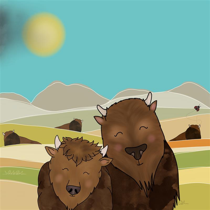 Brave Like the Buffalo | Rocky Mountain Books